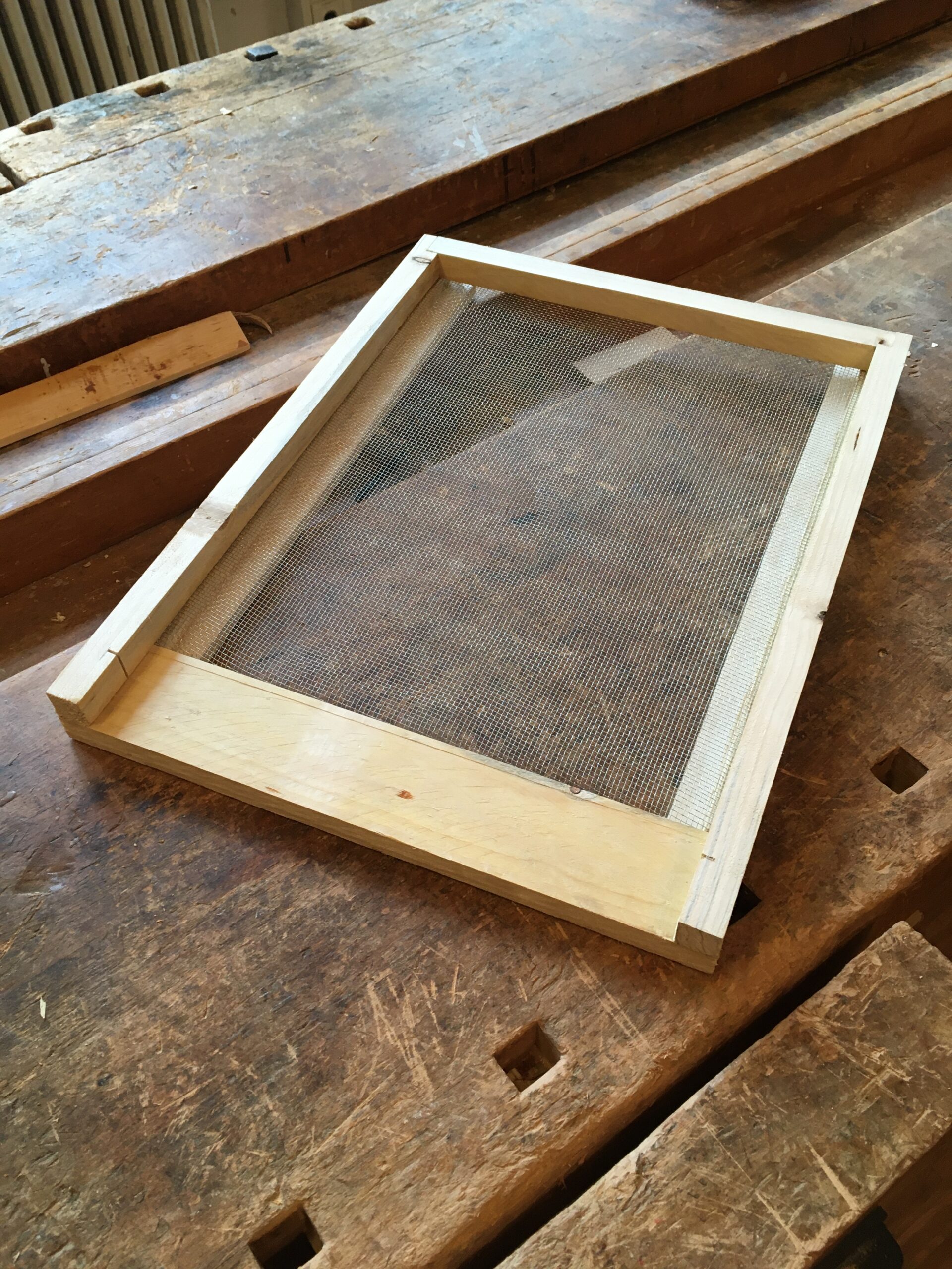 bienenjonas - Beutenboden